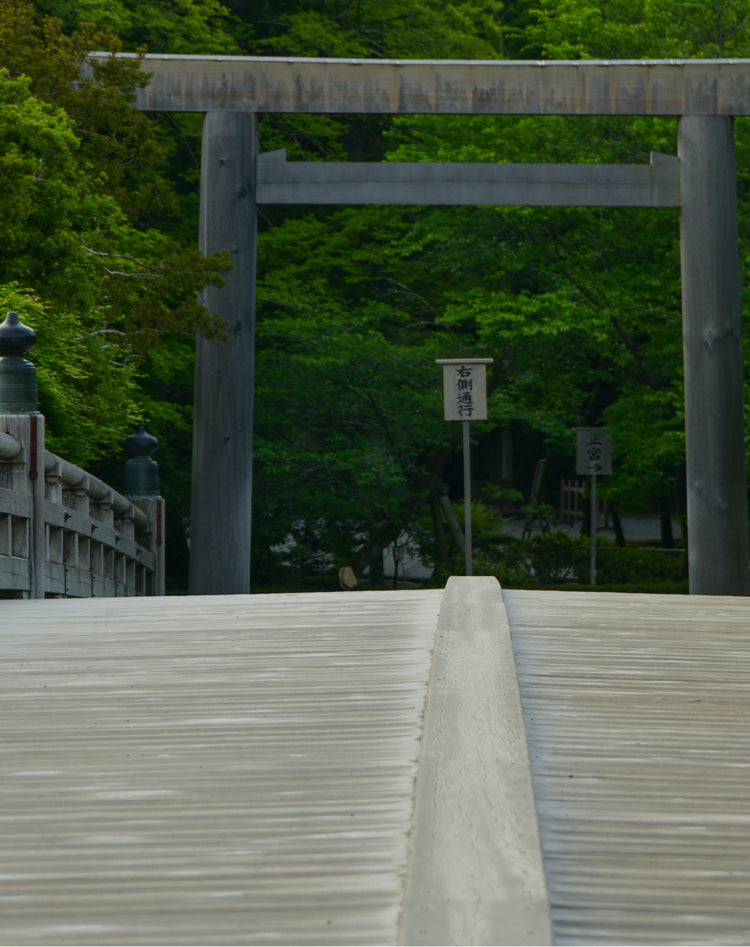 Traditional Shinto Wedding Overview | WAKON STYLE